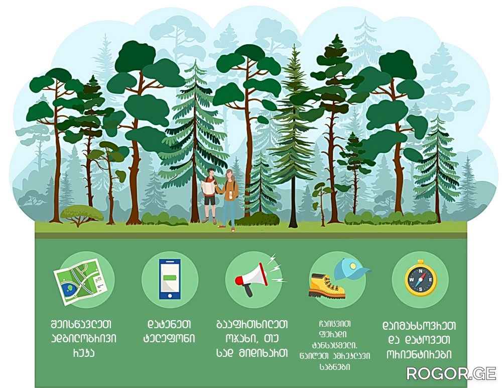როგორ მოიქცეთ ტყეში - უსაფრთხოების ტექნიკა - rogor.ge