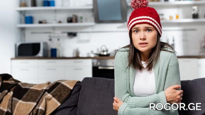 როგორ გაათბოთ ბინა, როცა გათბობა არ არის ჩართული: 9 ვარიანტი - rogor.ge